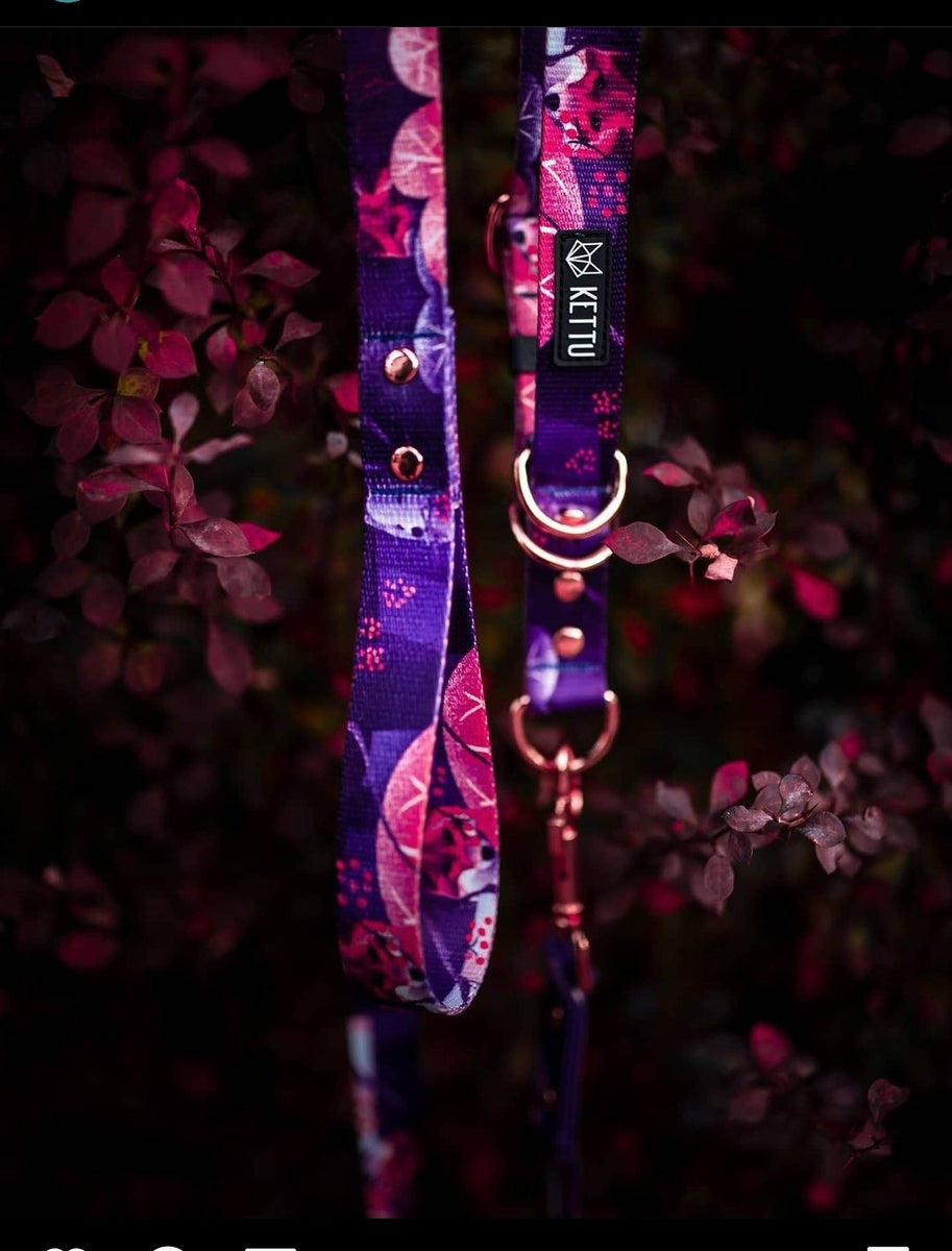 Kettu Taumar – K9 Iceland